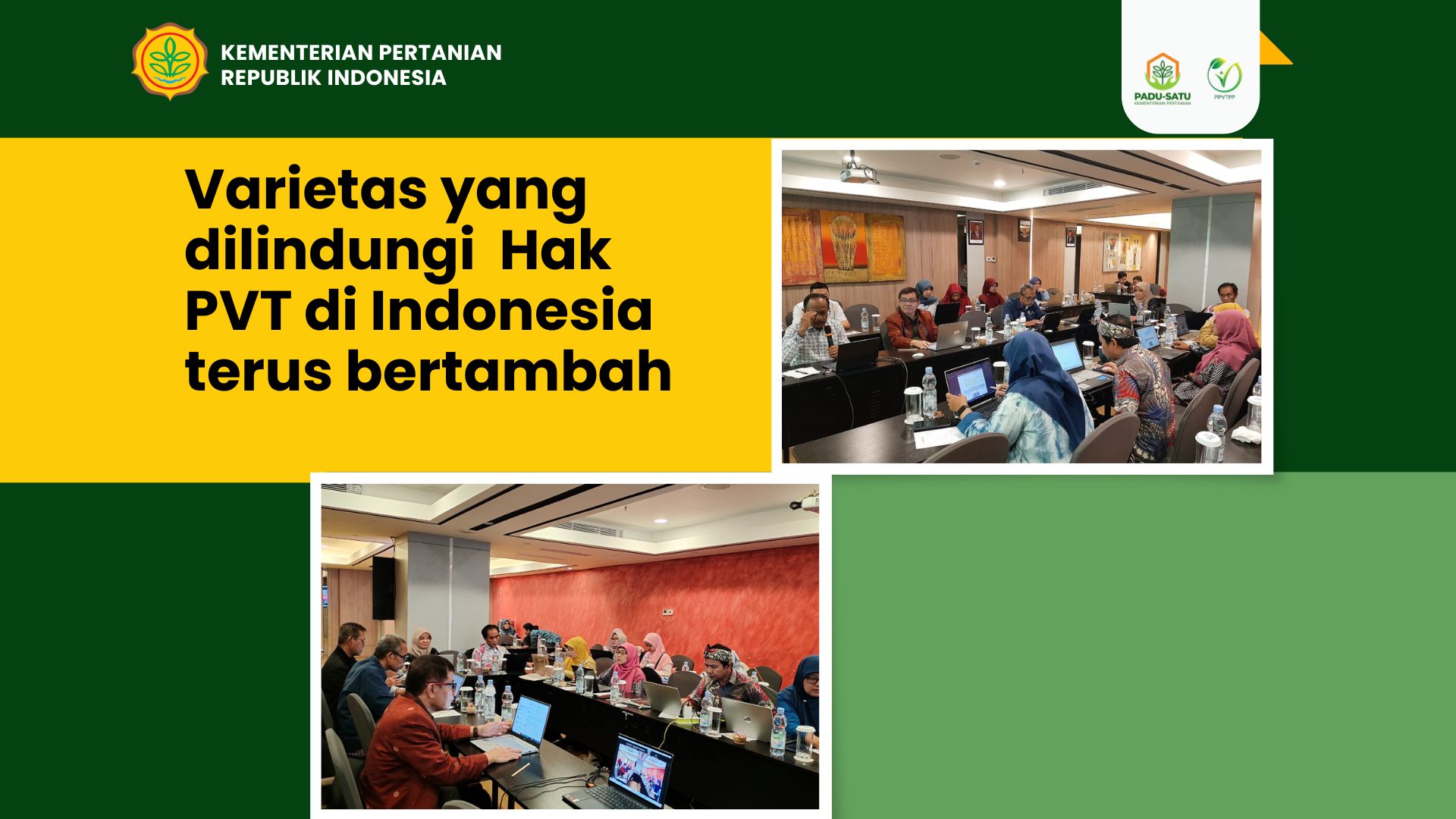 PPVTPP - Varietas yang dilindungi Hak PVT di Indonesia terus bertambah